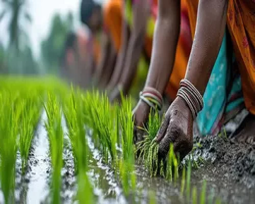 RBI increases collateral-free agricultural loan limit from ₹1.6 to ₹2 lakh